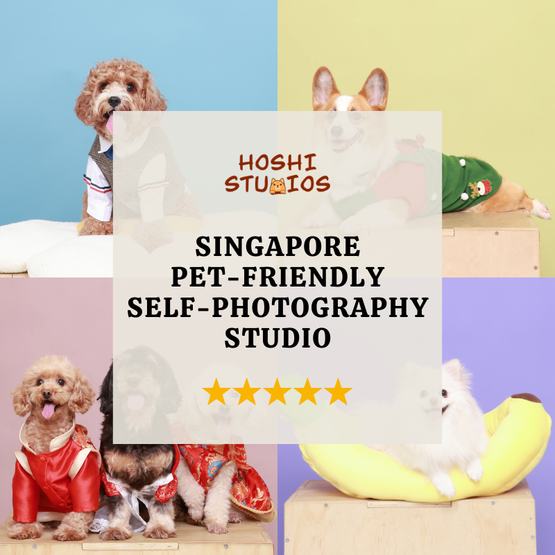Cards Promotions - Hoshi Studios | Maybank Singapore